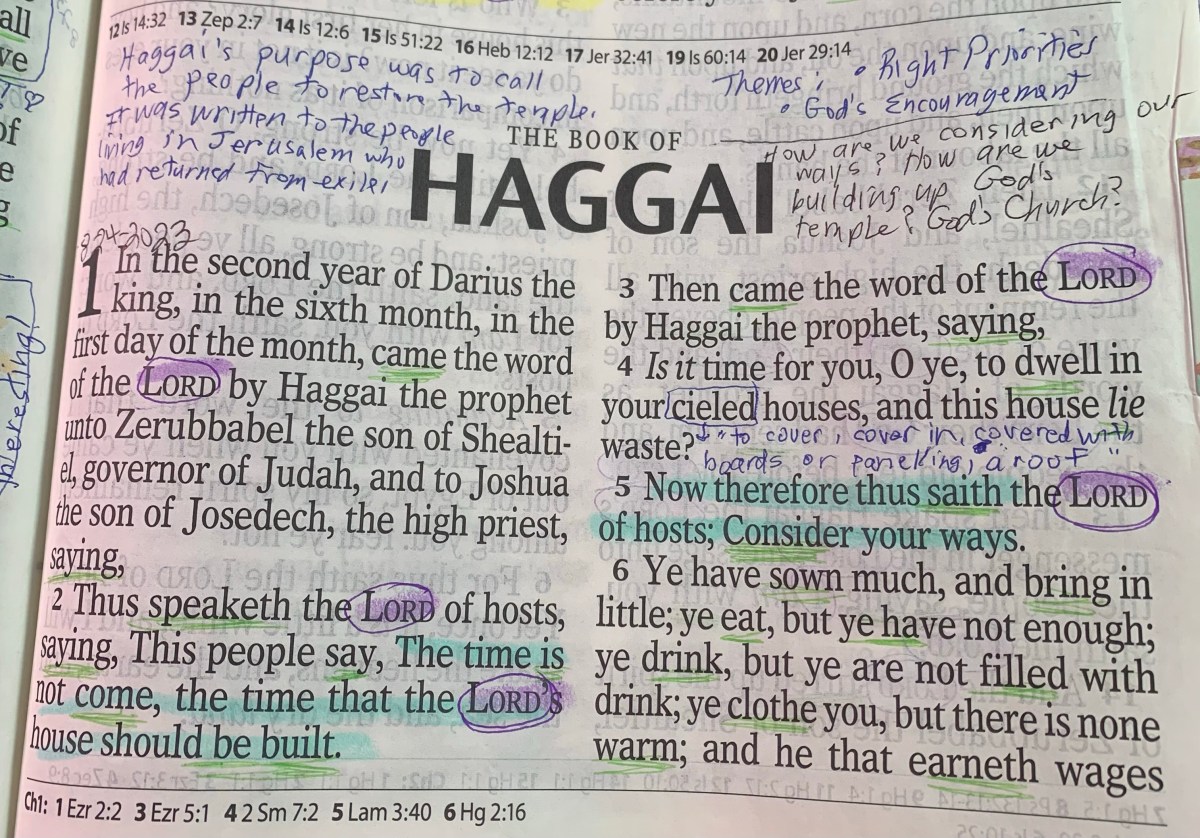 Observe Your Ways – Restricted Vision, Unburdened Sight